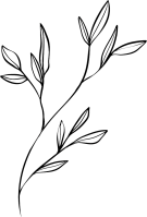 Gathered Roots Herb Growers' Guild – Working together for a healthy harvest